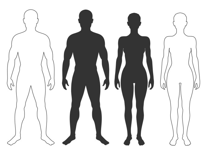 Bodypositive female body types Royalty Free Vector Image