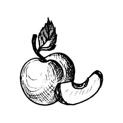 Graphic of a peach black and white Royalty Free Vector Image