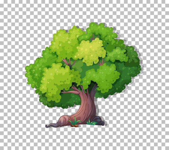 Tree on transparent background Royalty Free Vector Image