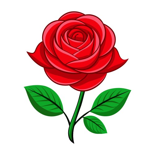 Hand draw red rose Royalty Free Vector Image - VectorStock