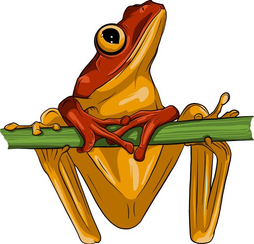 Tree frog Royalty Free Vector Image - VectorStock
