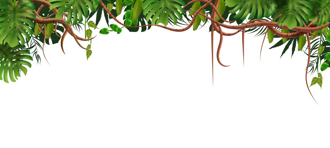 Jungle Vector Images (over 270,000)