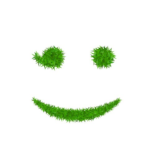 Green grass face smile smiley grassy icon Vector Image