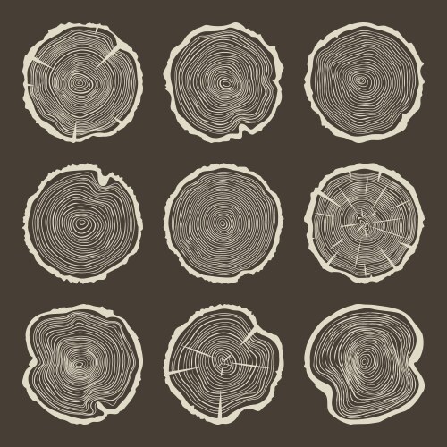 Round colorful tree trunk cuts sawn pine or oak Vector Image