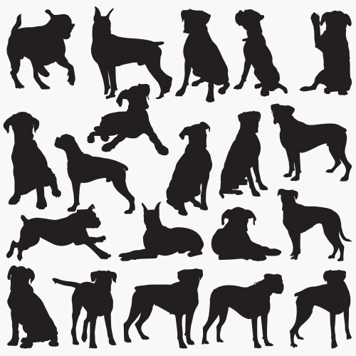 Animals silhouette set Royalty Free Vector Image