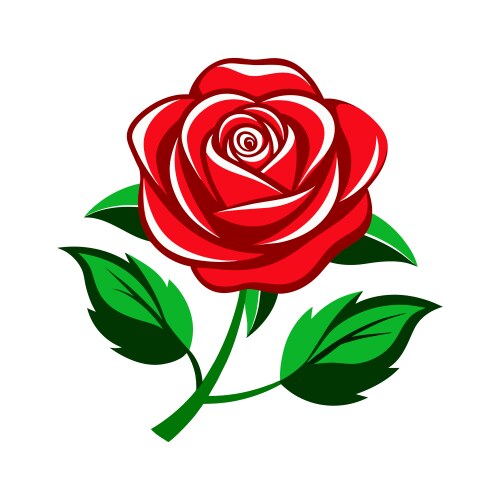 Hand draw red rose Royalty Free Vector Image - VectorStock