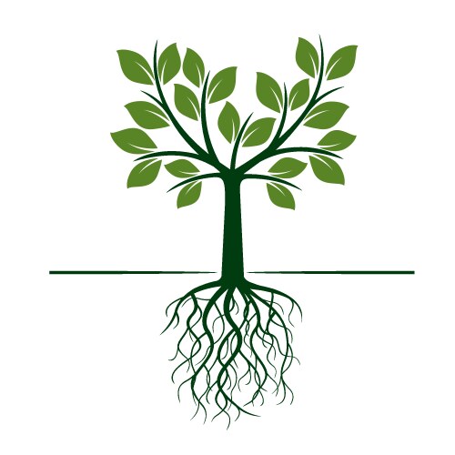 Big tree Royalty Free Vector Image - VectorStock