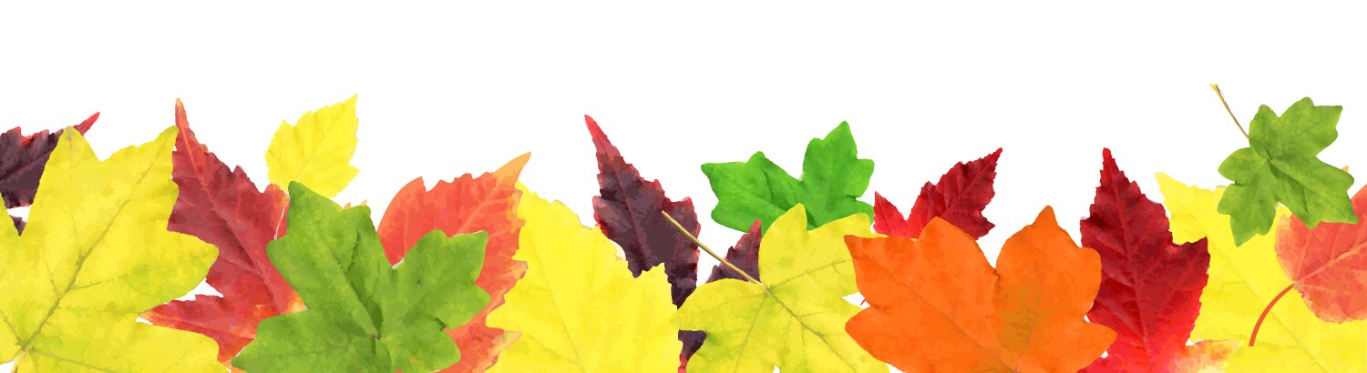 Autumn typography design made with leaves Vector Image