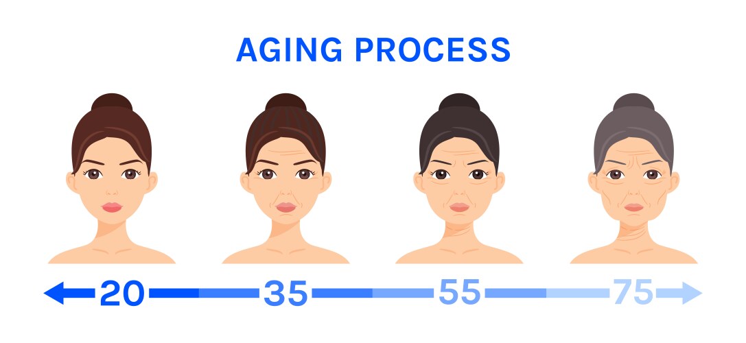 Aging Vector Images (over 380,000)