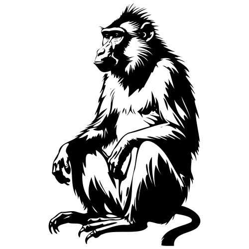 Realistic baboon hand drawn animal transparent Vector Image