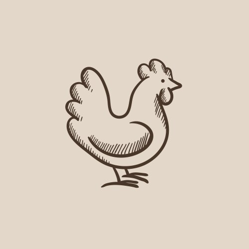 Hen Outline Vector Images (over 6,100)