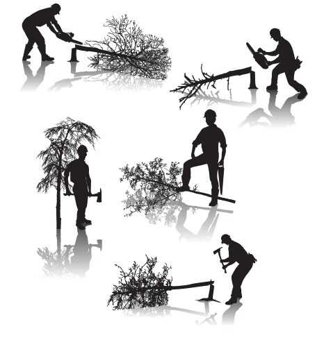 Forestry Vector Images (over 10,000)