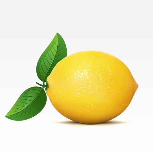 Lemon Vector Images (over 150,000)