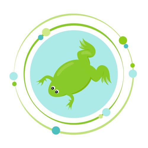 Frog Life Cycle Cartoon Vector Images (over 120)