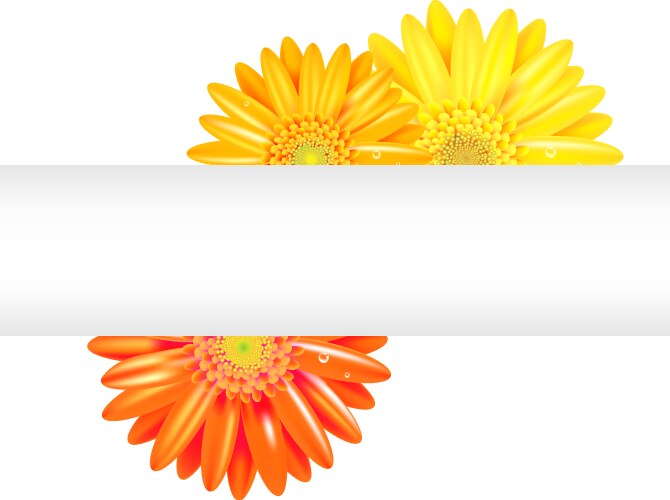 Yellow Flower Border Vector Images (over 15,000)