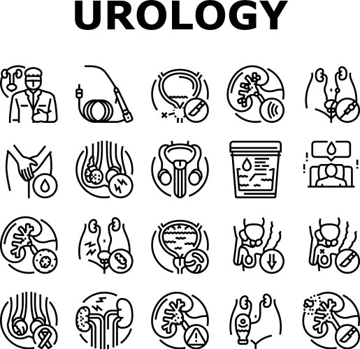 Urology prostate urinary kidney icons set Vector Image