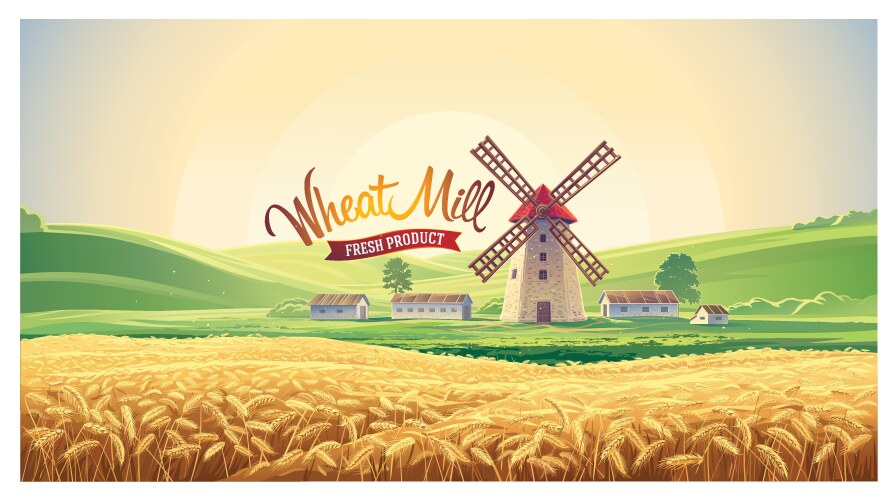 Wheat organic farming landscape farm and fields Vector Image