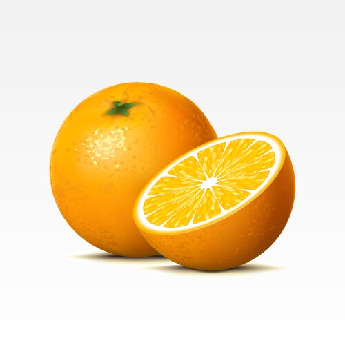 Watercolor orange fruit with leaf on white Vector Image