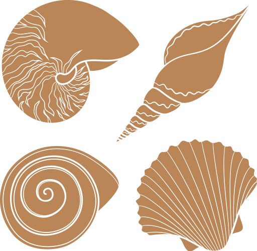 Nautilus shells Royalty Free Vector Image - VectorStock