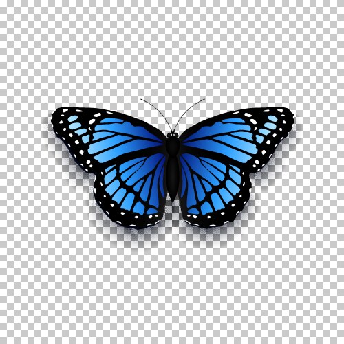 Realistic Butterfly Vector Images (over 7,400)