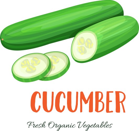 Cartoon groovy cucumber vegetable retro character Vector Image