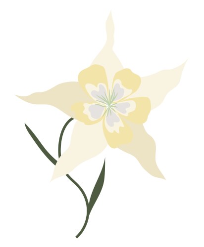 Flower vanilla dried pods Royalty Free Vector Image