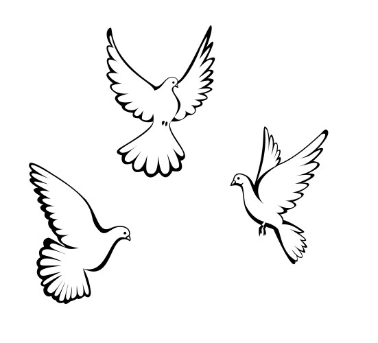 Dove Vector Images (over 59,000)