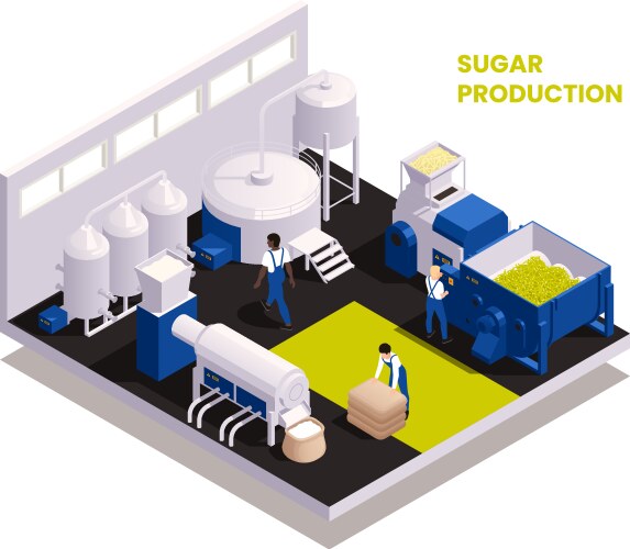 A digram of sugar production Royalty Free Vector Image