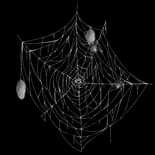 White spiderweb with spiders on transparent Vector Image