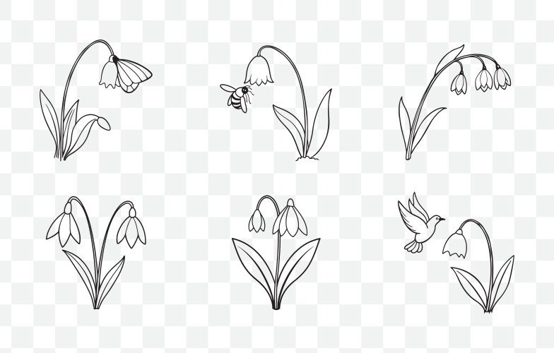 Snowdrop Line Art Vector Images (over 360)