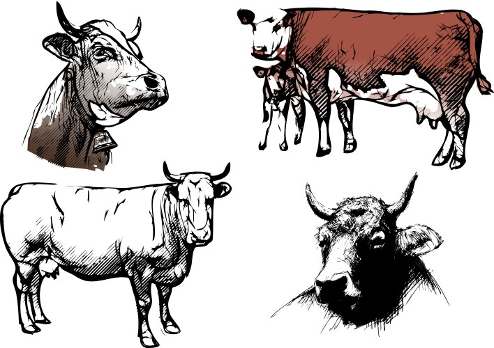 Cow Vector Images (over 110,000)