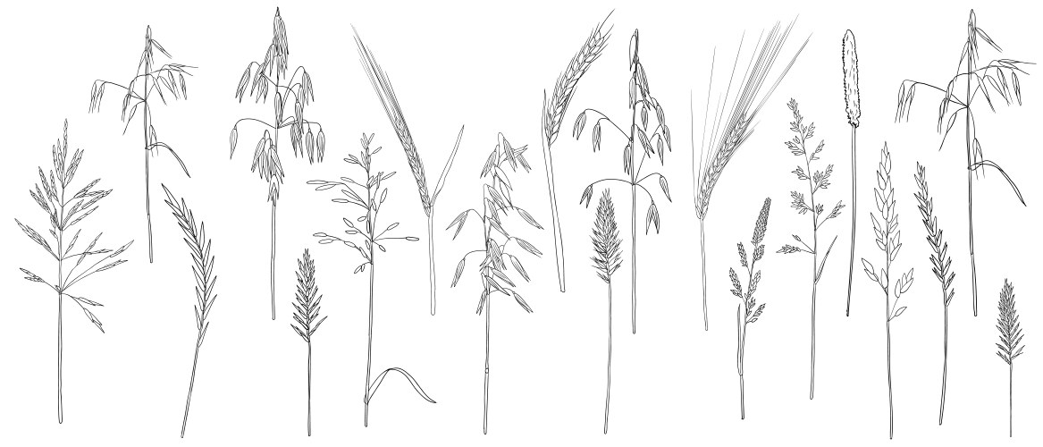 Grass Line Drawing Vector Images (over 14,000)