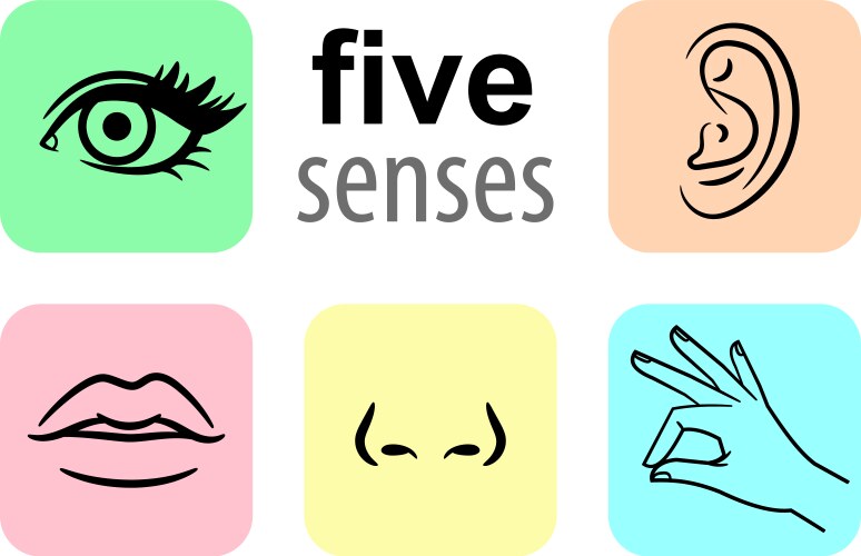 5 Senses Logo 5 SENSES FRESH | Omma Design
