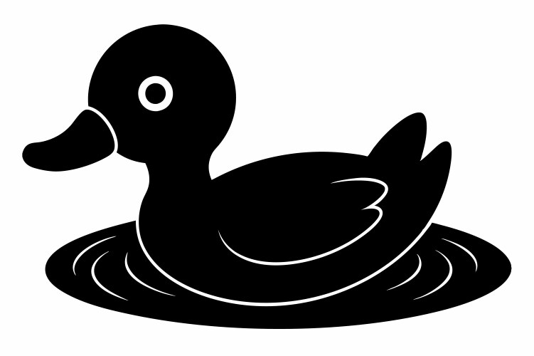 Coot in water white background r Royalty Free Vector Image