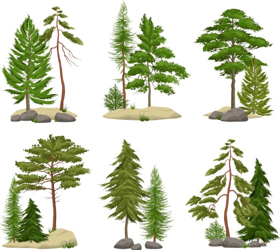 Cactus realistic set Royalty Free Vector Image