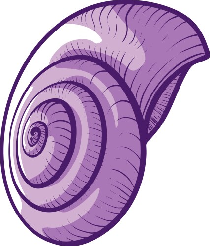 Seashell Royalty Free Vector Image - VectorStock