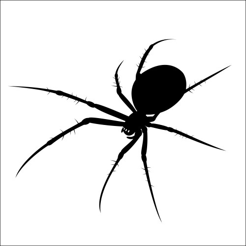 Spider Royalty Free Vector Image - VectorStock