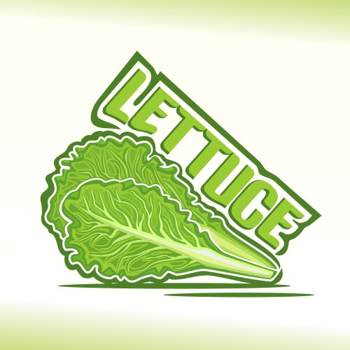 Fresh green lettuce icon cartoon style Royalty Free Vector