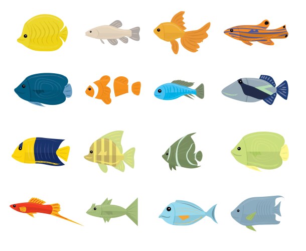 Tropical fish set Royalty Free Vector Image - VectorStock