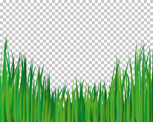 Super realistic grass Royalty Free Vector Image