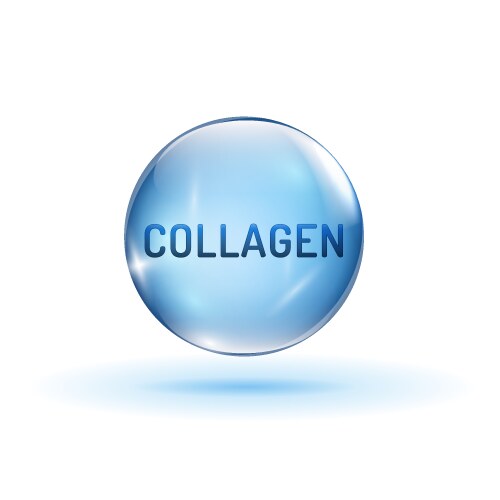 Collagen capsule line icon connective tissue Vector Image