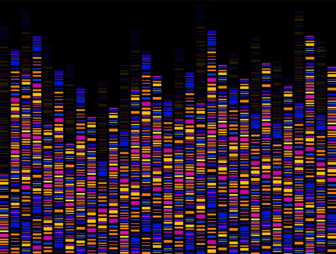 Dna test infographic barcoding genome Royalty Free Vector