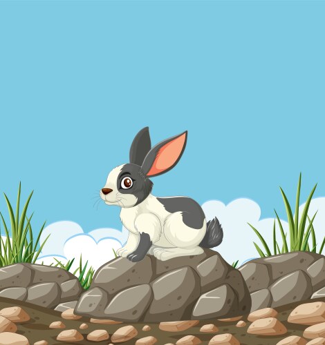 Rabbit Sitting Vector Images (over 7,000)