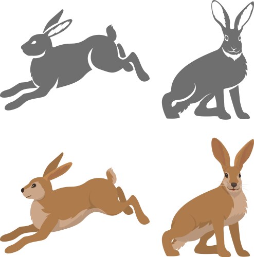 Rabbit Royalty Free Vector Image - VectorStock