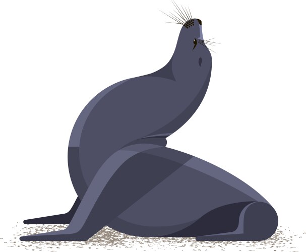 Animated Seal Vector Images (over 18,000)