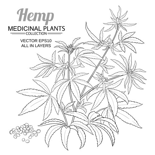 Cannabis Drawing Vector Images (over 4,400)
