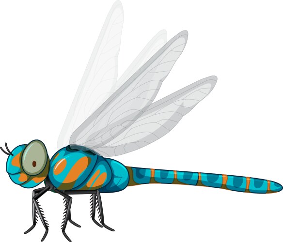 Dragonfly Clip Art Insect Cartoon Dragonfly Clip Art, PNG,