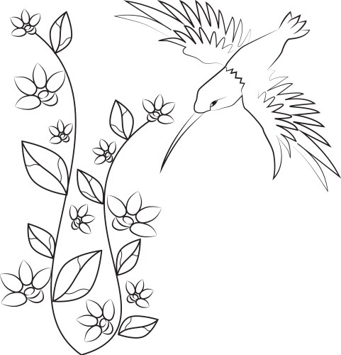 Hummingbird Border Vector Images (over 140)