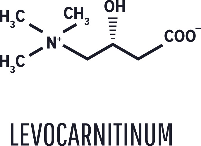 L Carnitine Vector Images (49)