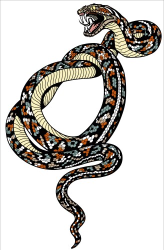 Coiled Snake Vector Images (over 1,700)